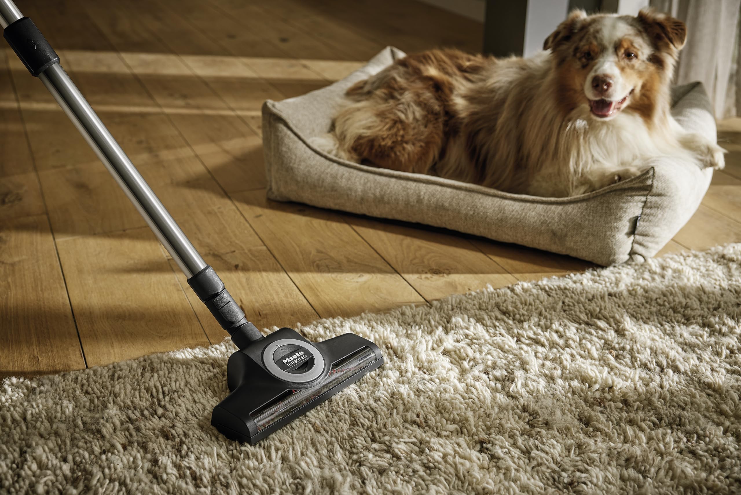 Miele TurboTeQ Turbo Brush STB 305-3, Attachable Floorhead for Effortless Vacuuming of Low-Medium Pile Carpet Black 28cm x 28cm