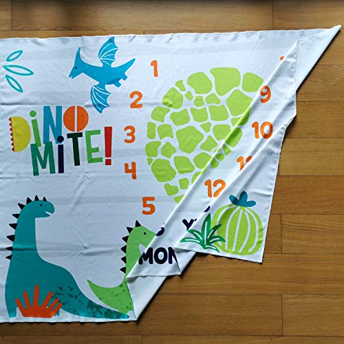Dinosaur Baby Stuff Month Milestone Blanket for Newborn Photo Taken - Baby Age Blanket