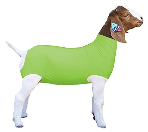 GuHuiKuShow Pro Neon Green Spandex Goat Tube for Show Goats - Show Livestock Supplies: Goat Covers & Blankets (Medium)