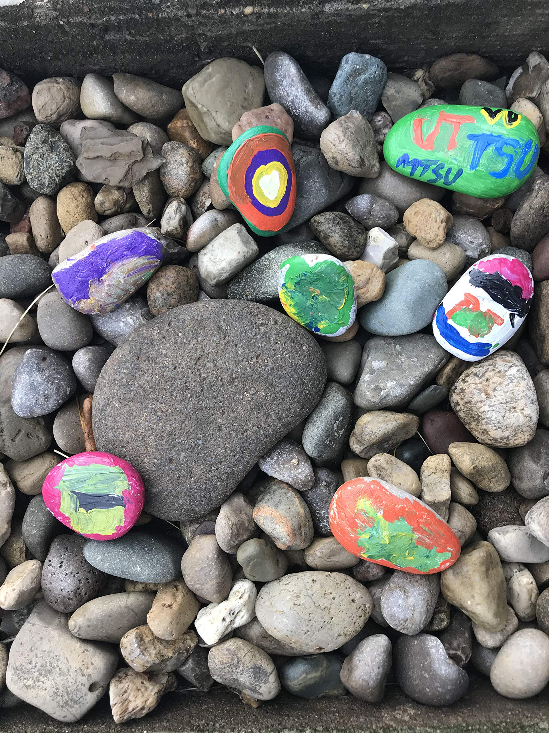 Rock Painting for Arts & Crafts; 12 Non-Toxic Fun Colors; 2 Brushes; 10 Rocks to Inspire Creativity and More; Great as Kids Gift;