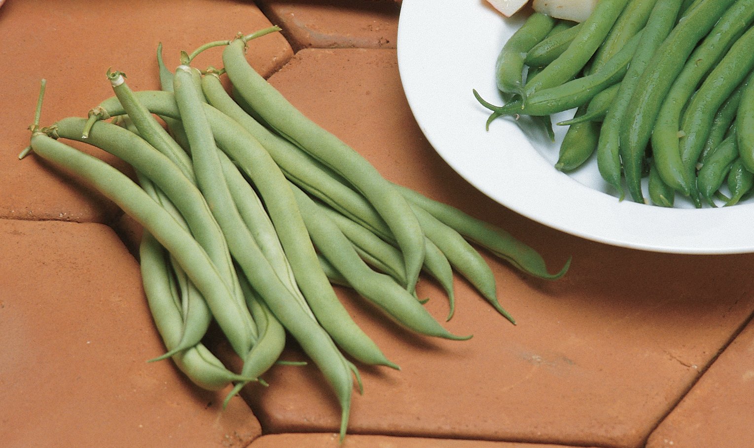 Burpee White Half Runner Pole Bean Seeds 2 ounces of seed