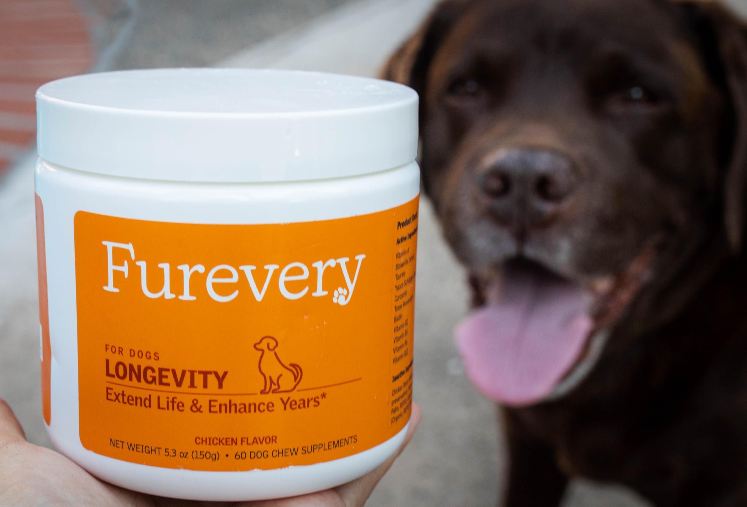 Furevery Chewable Dog Vitamins and Supplements β Daily Longevity Multivitamin for Dogs with Curcumin, Taurine, Trans-Resveratrol β Essential Vitamins for Dogs to Support Wellness and Vitality