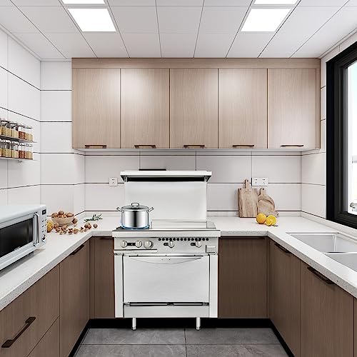 WMAOT 36" Commercial Range with 2 Burner 4.8 Cu.Ft Electric Oven 24" Griddle 35000 BTU Manual Natural Gas Range for Commercial Kitchen Restuarant Bar