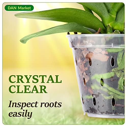 DAN Market 4.5 inch Orchid Pots with Holes - Orchid Pots for Repotting - Orchid Breathable Slotted Clear Plastic Pot (4.5 inch 4 Pack)