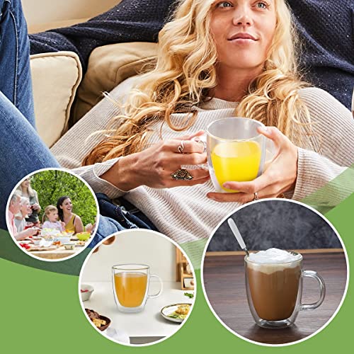 Wwyybfk Double Wall Glass Coffee Mugs, 16oz Insulated Glass Espresso Mugs Cups with Handle Lid (Set of 2) for Cappuccino, Latte,Tea (455ml)