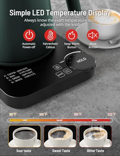 Gooseneck Electric Kettle, Paris Rhône Electric Kettle with 4 Variable Presets, ±1℉ Temperature Control & LED Real-time Temperature Display, Stainless Steel Inner, 24H Keep Warm for Coffee, Tea, 0.9L