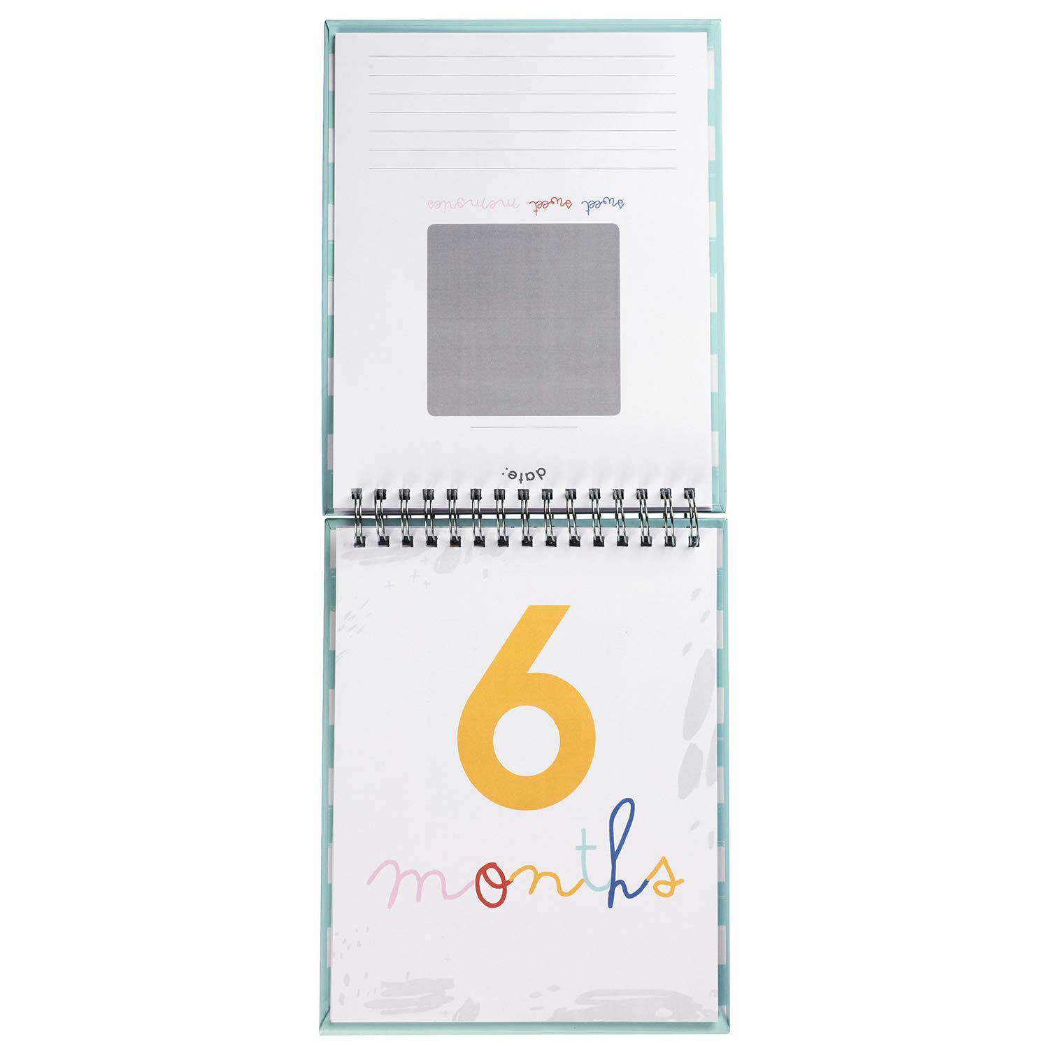 C.R. Gibson ''You Make The World a Brighter Place'' Rainbow Zebra Baby Milestone Cards Photo Prop Flipbook, 8.5'' x 10.5''
