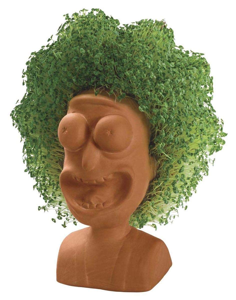 Chia Pet Rick & Morty - Rick with Seed Pack, Decorative Pottery Planter, Easy to Do and Fun to Grow, Novelty Gift, Perfect for Any Occasion