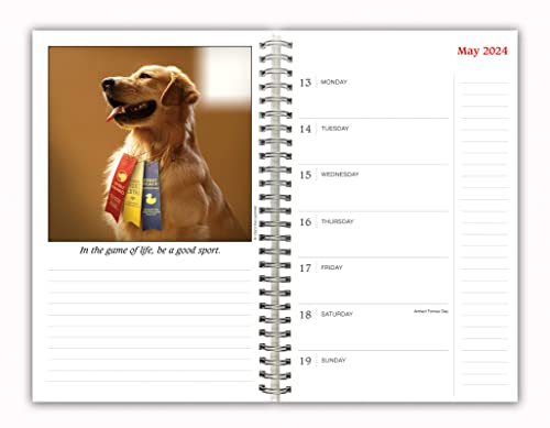 Dogma 2024 Weekly & Monthly Planner — A Dog's Guide to Life, 16-Month Engagement Calendar: September 2023 - December 2024, 6" x 9"