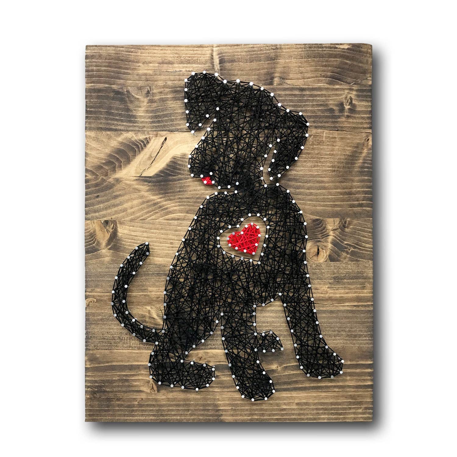 String of the Art (16" x 12" Puppy String Art Kit, American Made Crafting Supplies, Pine Wood, Embroidery Floss, Original Art, DIY Craft Kit for Adults, Beginner to Advanced Crafters