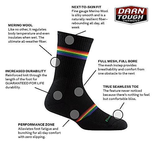 Darn Tough Vermont Prism Crew Lightweight with Cushion Black LG (US 10-11.5)