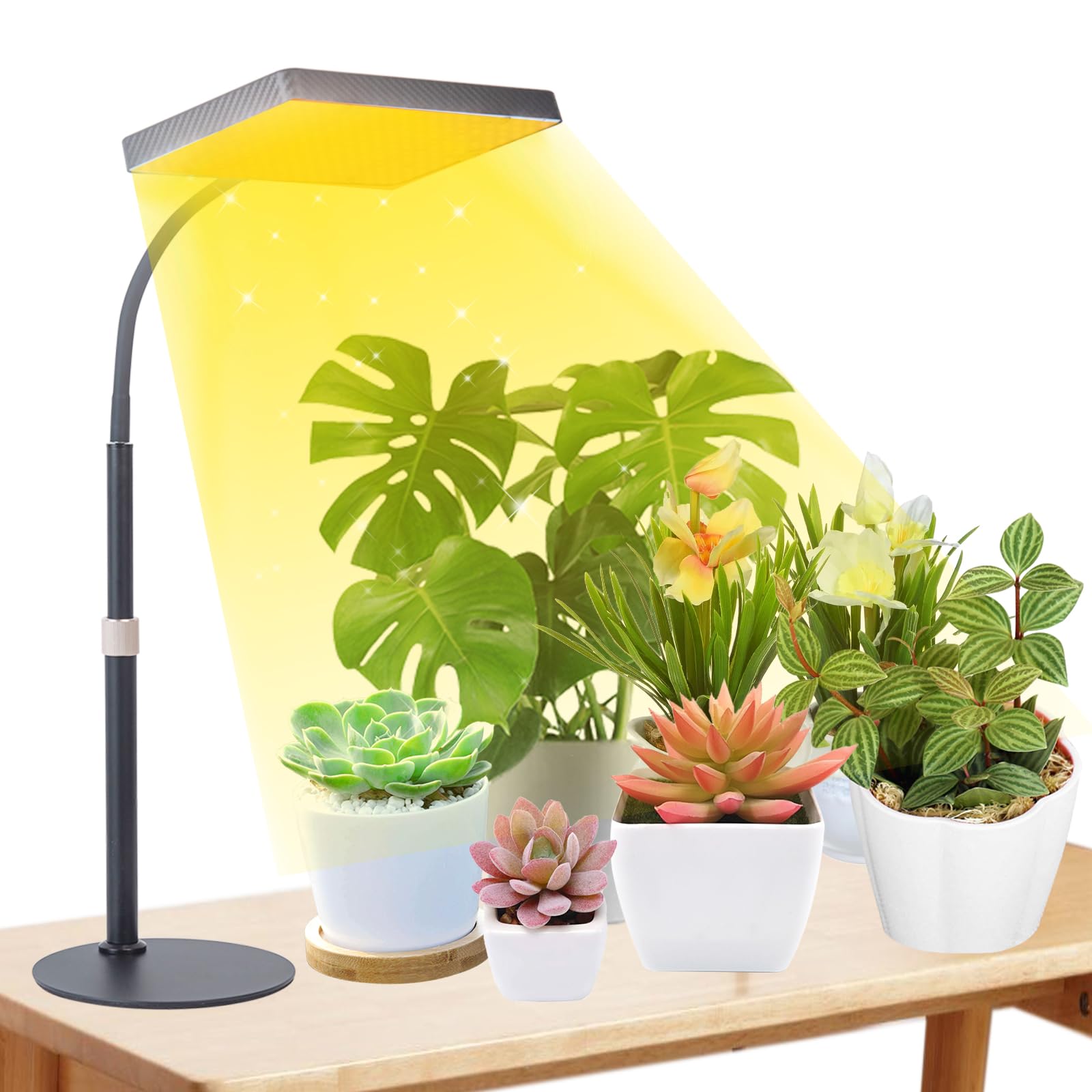 FECiDA Desk Grow Lights for Indoor Plants, Table Top Grow Light UV-IR Full Spectrum, 2000 Lumen LED Bonsai Houseplant Growing Lamp with On/Off Switch, 16"-24" Height Adjustable