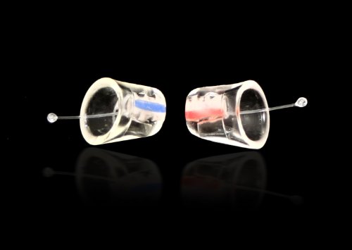 Earasers Noise Cancelling Earplugs - Reusable Noise Reduction Musicians Earplugs for Concerts, Djs – 19dB Peak Reduction