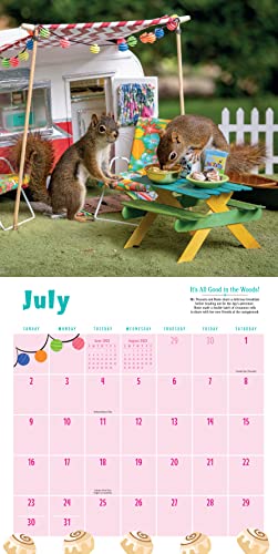 The Secret Life of Squirrels Wall Calendar 2023: Wild Squirrels Interacting with Handcrafted Domestic Scenes