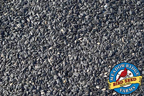 Meadow Ridge Farms Black Oil Sunflower Bird Seed, 40-Pound Bag