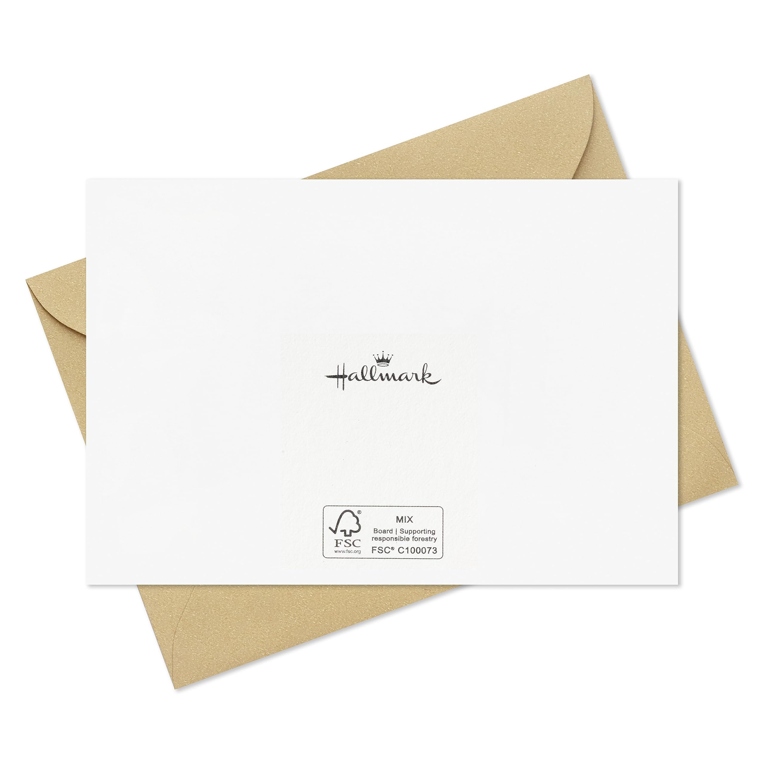 Hallmark Pink Orchid Thank You Notes (20 Blank Cards with Envelopes) for Bridal Shower, Baby Shower, Wedding, Birthday