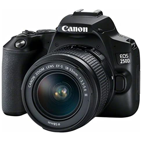 Canon EOS 250D/Rebel SL3 Vlogger Kit:EF-S 18-55mm & EF 75-300mm Lenses,128GB Memory,Tripod,3 Piece Filter Kit,Gadget Bag,Remote Shutter,USB Card Reader,Cleaning Kit & Software Package