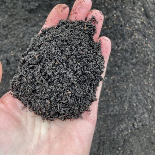 Earth Science β Earthworm Castings β Premium Plant Fertilizer for Indoor & Outdoor Plants β Soil Enhancer for Vegetable Gardens 4lb
