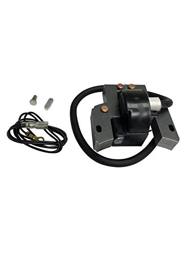 ENGINERUN 398593 Ignition Coil Module Magneto for Briggs & Stratton 3HP Engines 793281, 793352, 792594, 395489, 398593 496914