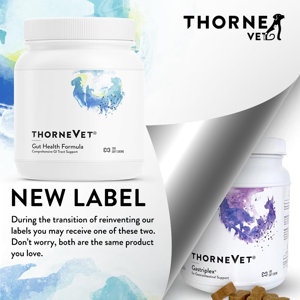 ThorneVet Gut Health Formula – Gastrointestinal Support for Dogs, Cats & Horses, 180 Soft Chews