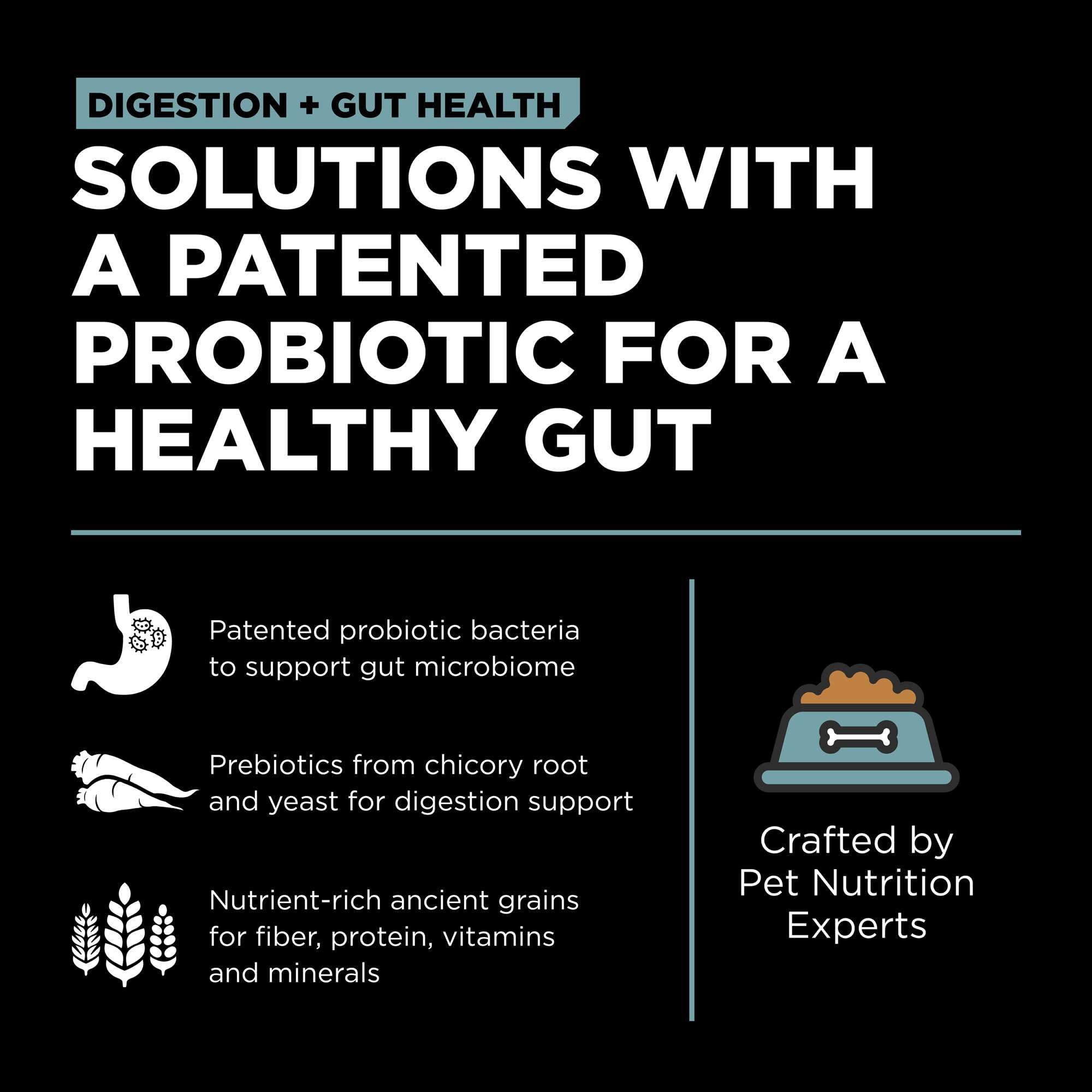 Go! Solutions Digestion + Gut Health, Dry Dog Food, Chicken Recipe with Ancient Grains, 3.5 lb Bag