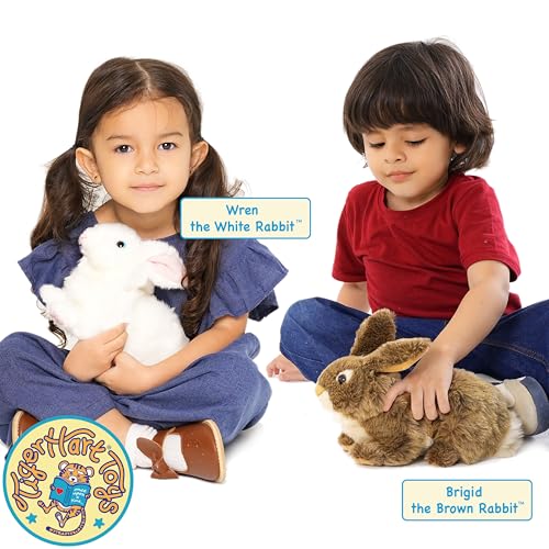 TigerHart Brigid The Brown Rabbit - 10 Inch Stuffed Animal Plush Bunny