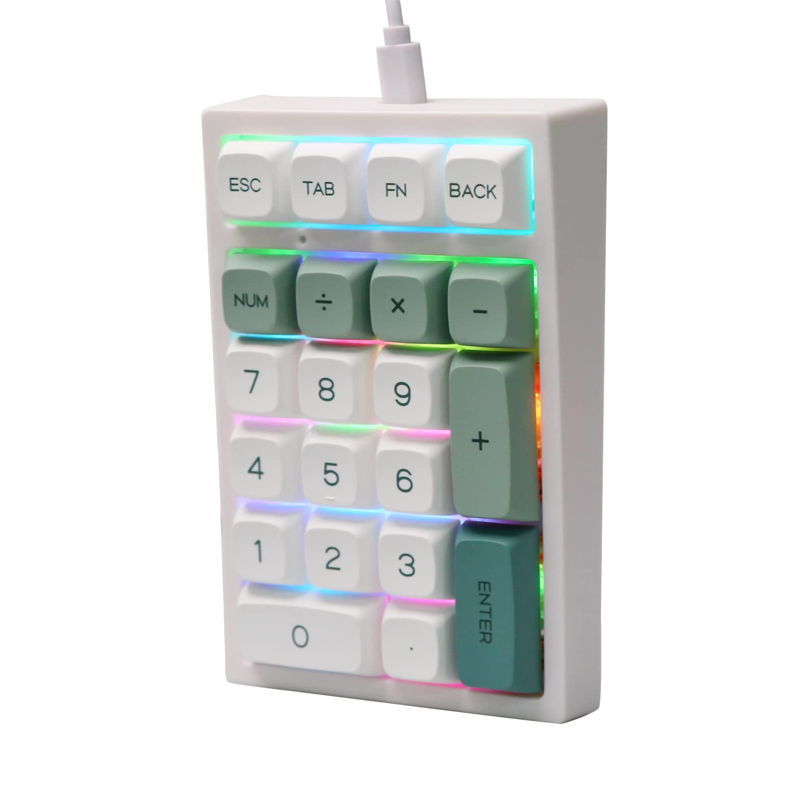 EPOMAKER TH21 21 Keys Hot Swappable Mechanical Gaming Numpad, 3 Modes(2.4Ghz/Bluetooth 5.0/Wired) Programmable RGB Numeric Keypad with PBT Keycaps for Win/Mac (Botanic Garden, Gateron Pro Yellow)