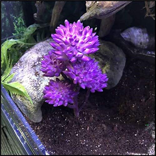KERUIDENG Reptile Plants Artificial Terrarium Plants Reptile Plastic Plants for Reptile Habitats with Base -Purpleā¦