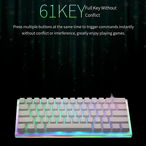 Gaming Keyboard, Hot Swap Type C USB3.1 Wired Mechanical Keyboard RGB Lighting Effects for Home (Brown Switch)