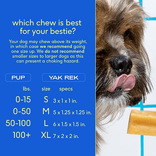 Native Pet Yak Chews for Dogs (Bulk Size - 10 Medium Chews). Pasture-Raised and Organic Himalayan Churpi Chew. Long Lasting, Low Odor, and Protein Rich Reward Treat.