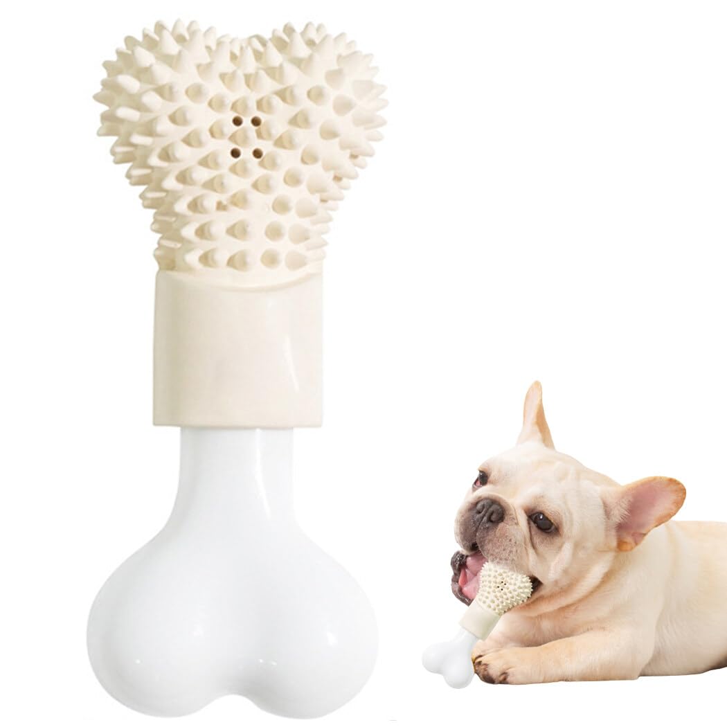 Kapmore Biting Training Toy Bone - Puppy Interactive Chew Reusable Funny for Teeth Cleaning Shape Small Medium Toy