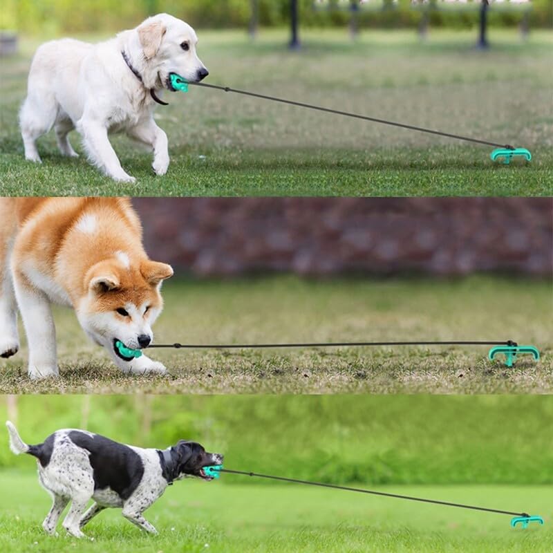 Kapmore Funny Self-Playing Dog Tug Toy with Teething Chew Stake for Puppy Yard