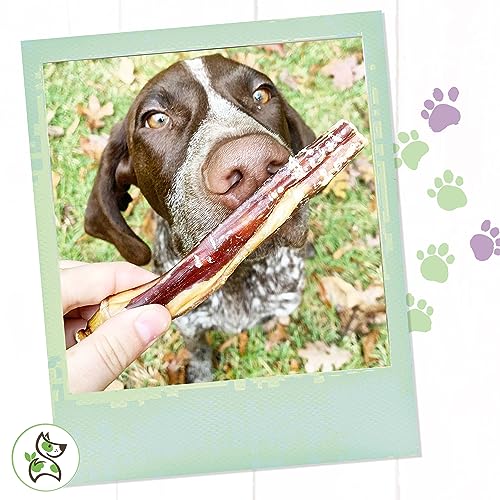 Nature Gnaws Mixed Bully Sticks for Small Dogs - Premium Natural Tasty Beef Bones - Simple Long Lasting Dog Chew Treats - Rawhide Free - 6 Inch