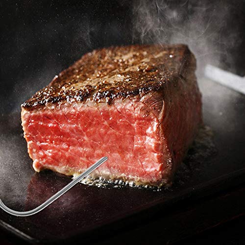 DENGNI Waterproof Thermometer Hybrid Probe Replacement for Digital Cooking Food Meat Thermometer.