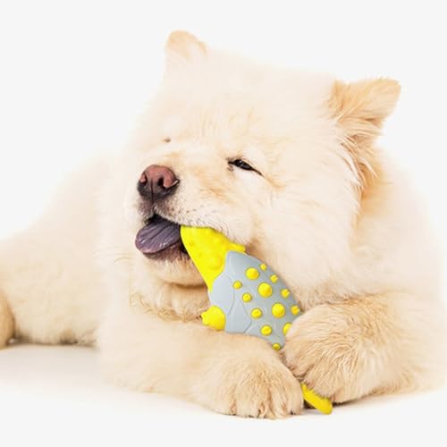 Kapmore Pet Dental Chew Toy Interactive for Teething Training, Cute Tough Reusable Fun Toothbrush Portable Funny Dog Puppies Molar
