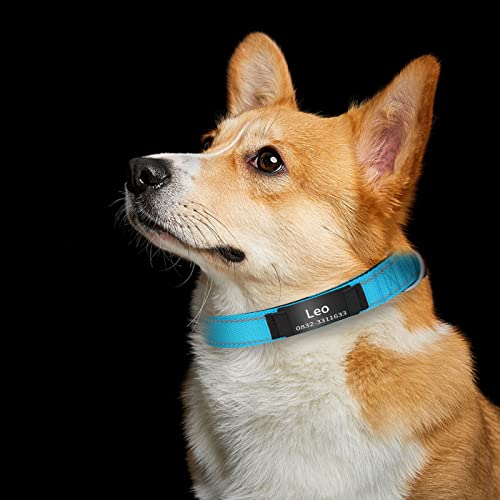 SF Custom Personalized Reflective Dog Collars,Custom Engraved Stainless Steel Name Plate ID Collar Padded Pet Collar 4 Adjustable Sizes X-Small Small Medium Large
