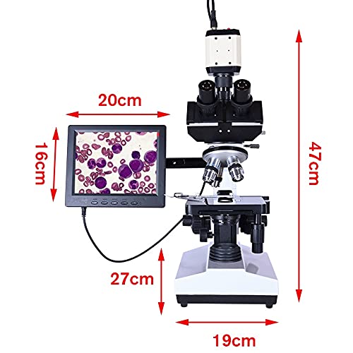DINGZZ Professional Lab Biological trinocular Microscope Zoom 2500X + USB Electronic Digital CCD Camera + 8-inch LCD