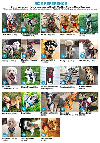 Voyager Step-In Air Dog Harness w/ Leash - All Weather Mesh Step in Vest Harness for Small and Medium Dogs by Best Pet Supplies - Black, S
