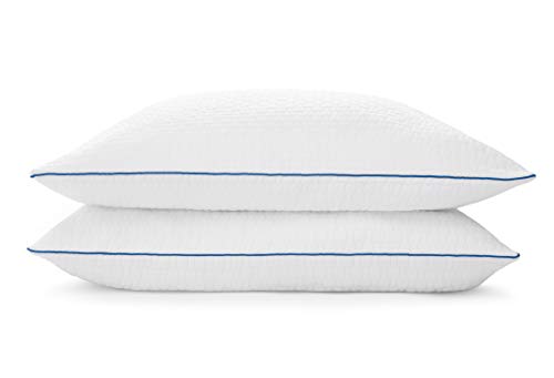 Sleep Innovations Shiloh Medium Memory Foam Mattress, 14 Inches, Queen & Premium Shredded Gel Memory Foam Pillows, Queen (Pack of 2)