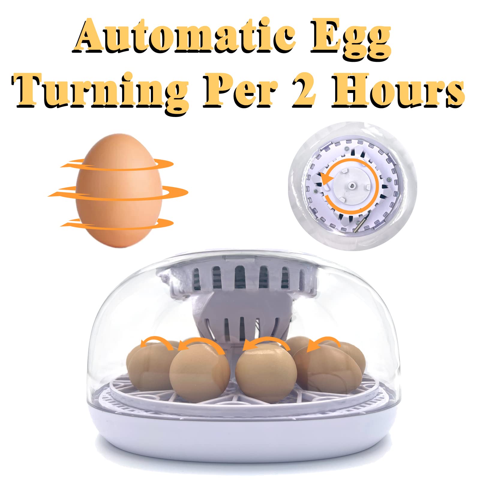 Egg Incubator