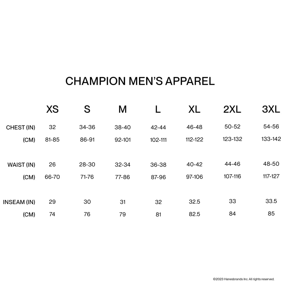 Champion mens Classic T-shirt, 1919 Logo T Shirt, White-586574, Large US