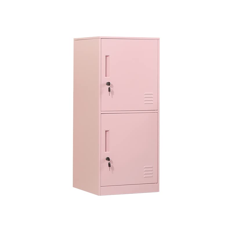 DAYTOYS 2 Door Metal Vertical Storage Locker for Kids Bedroom, Children Room, School, Office, Home,Stackable Steel Storage Cabinet for Toys, Sports Equipment,Anti-Falling Device. (2D, Pink)