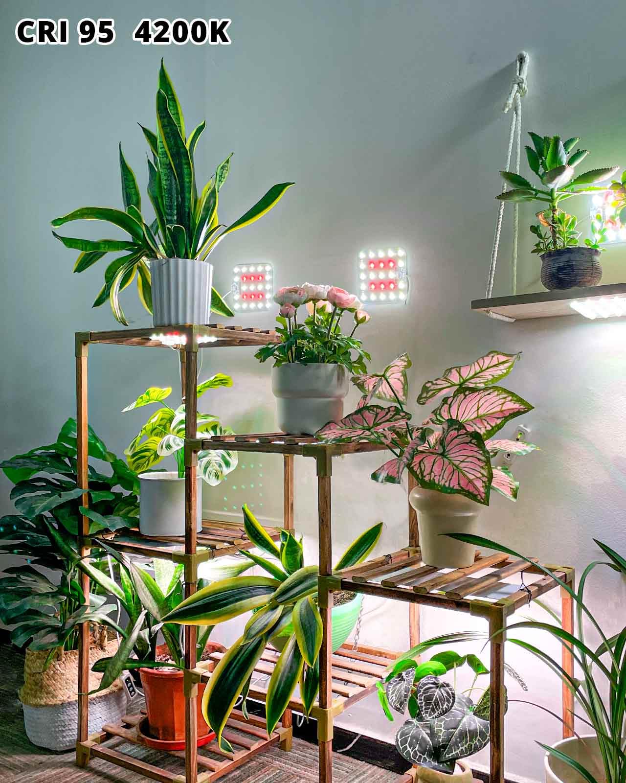 DOMMIA Grow Light, Dimmable Grow Light for Indoor Plants Full Spectrum with Optical Lens, Sunlike Under Cabinet Grow Light with 6/12/16H Timer, USB LED Plant Light for Indoor Growing (No Adapters)