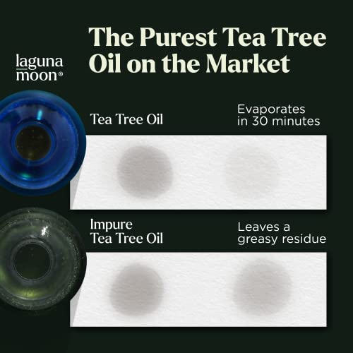 Tea Tree Essential Oil - XXL Bottle w/Organic Drops for Skin, Face, Hair, Scalp, Nails - Fragrance Oil for Aromatherapy, Diffusers, Candle Making, Yoga, Massages, Home Care, Office Essentials (150mL)