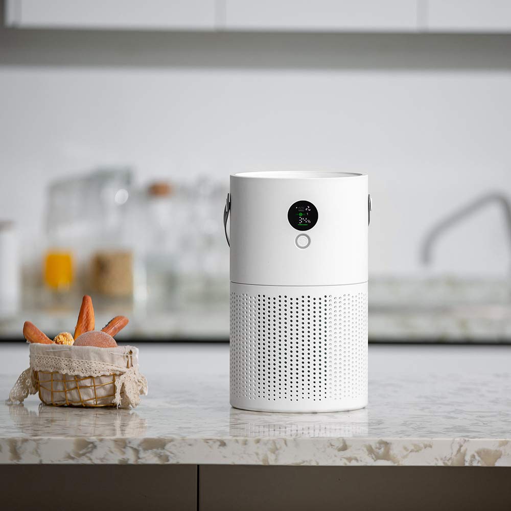 Essential Air Eliminate Up To 99.7% From Your Home Advanced Technology Next Generation System