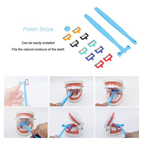 Enamel Reduction Strip, Interproximal Enamel Reduction Kit Dental Hygienic Handle for Tooth Alignment for Dental Hospital