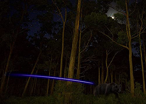 DEEPOWER G Lighted Nocks for Arrows 0.165 inch and 0.204 inch Inside Diameter with X Bushings with ON/Off Switch, 4 PCS LED Nocks (Blue)