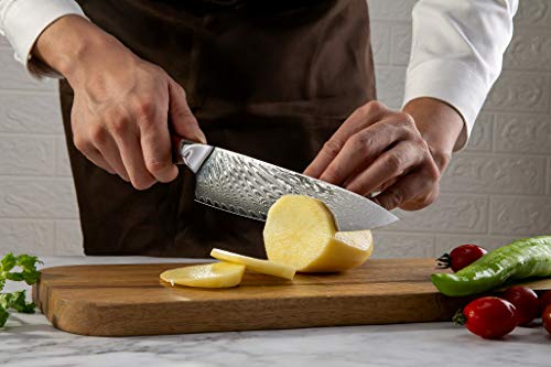 FANTECK Chef Knife 8 Inch Professional Damascus Chef Knife High Carbon 67 Layers VG-10 Damascus Knife Stainless Steel Ultra Sharp Blade Kitchen Meat Cutting Knife [Gift Box]-Ergonomic Rose Wood Handle