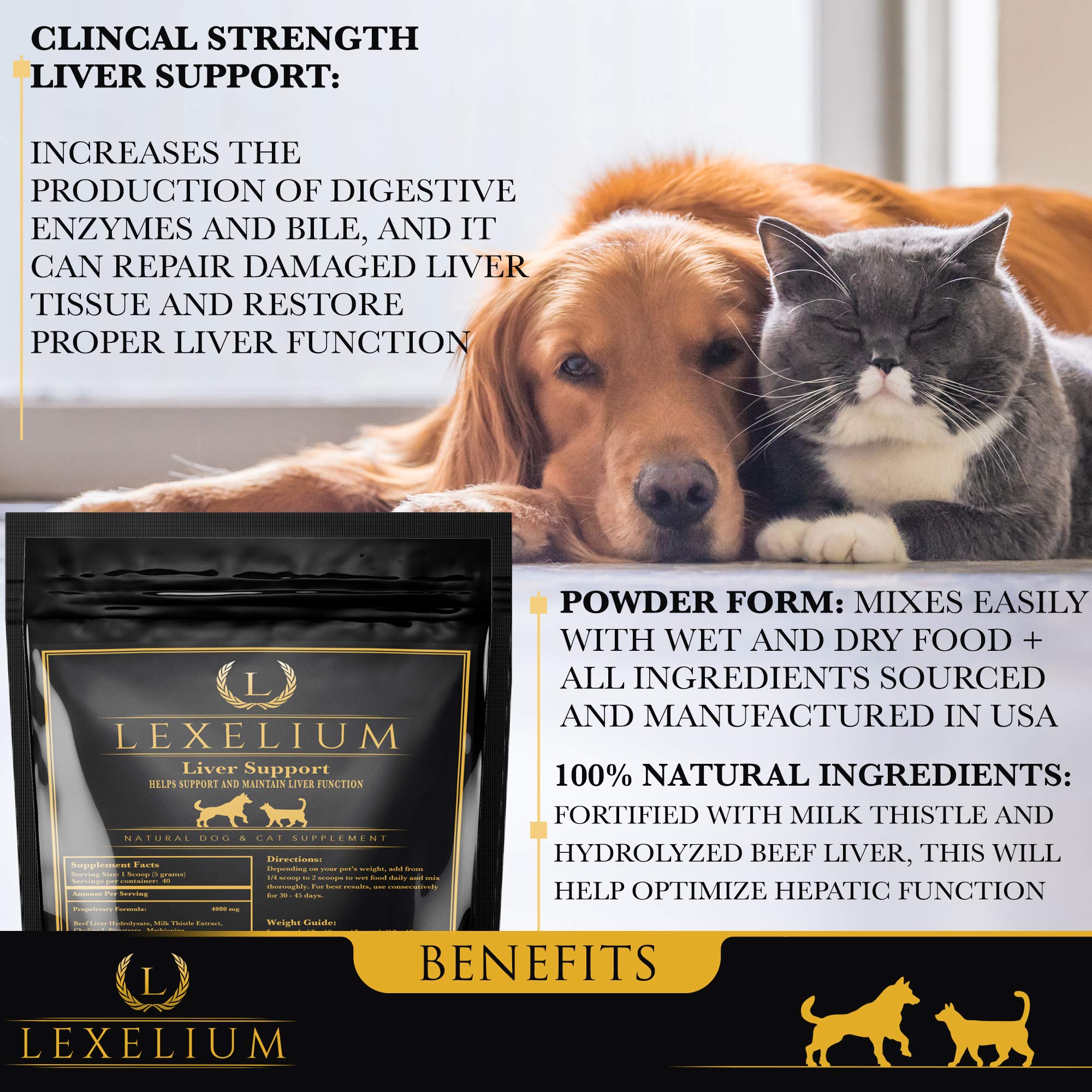 Lexelium Liver Support Supplement for Dogs and Cats - Great for Detoxing and Helps Kidney, Liver & Skin Function - Cat Liver Support - Milk Thistle + Lysine + Choline Bitartrate + Methionine β 200g