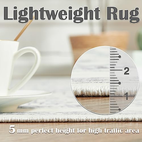 jinchan Area Rug 5x7 Rug Washable Boho Bedroom Rug Indoor Floral Print Carpet Distressed Thin Rug Accent Rug Lightweight Living Room Dining Room Kitchen Grey On Cream